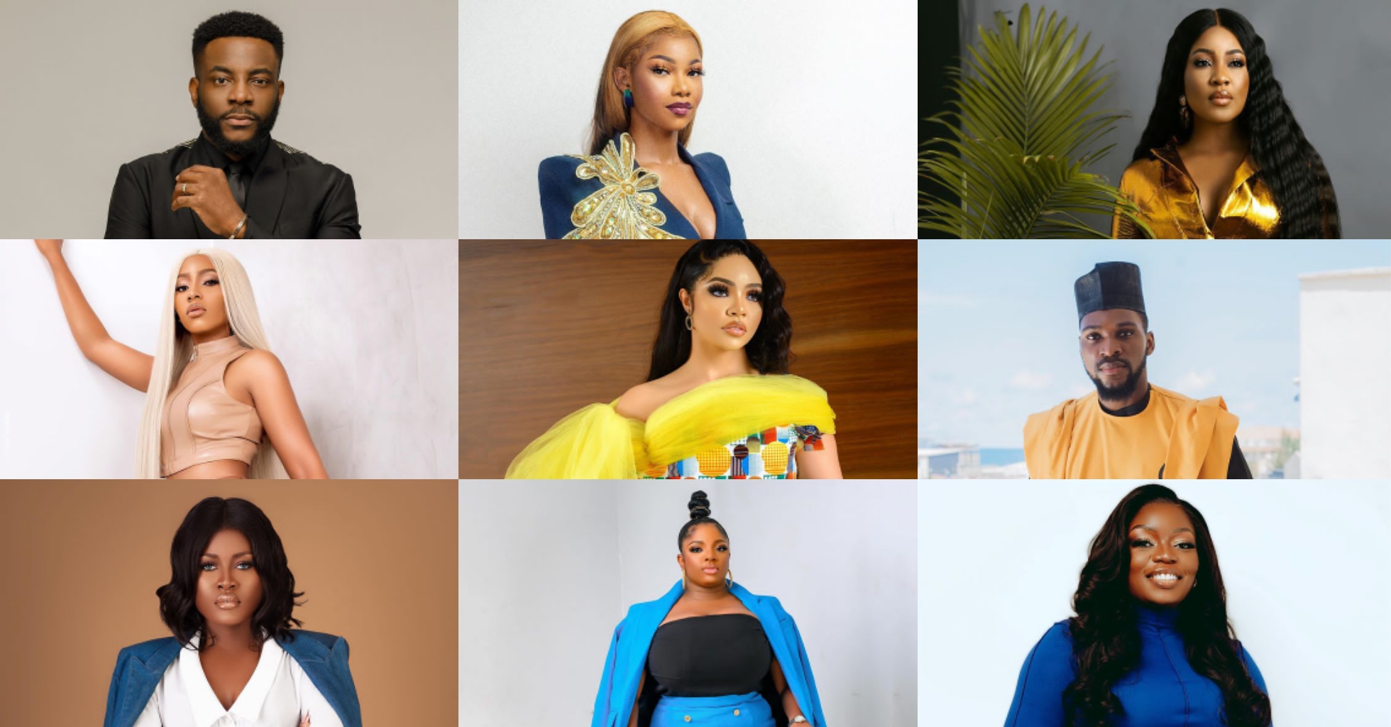 Big Brother Naija (BBNaija) 2025 Application, Housemates Biography ...