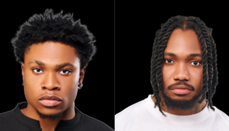 Big Brother Naija (BBNaija) 2025 Application, Housemates Biography ...